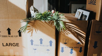 What is Collateral Insurance? | Bankrate