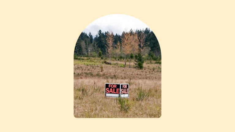 How To Buy Undeveloped Land | Bankrate