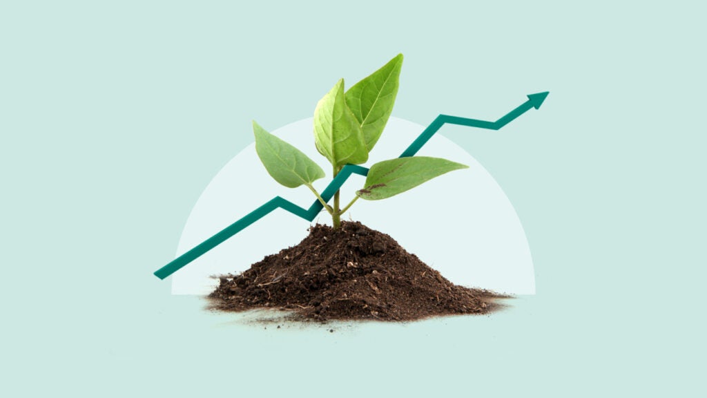 What Are Sin Stocks? | Bankrate