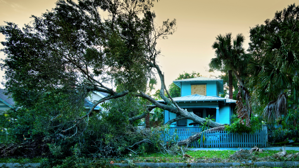 12 Ways to Avoid Hurricane Damage | Bankrate